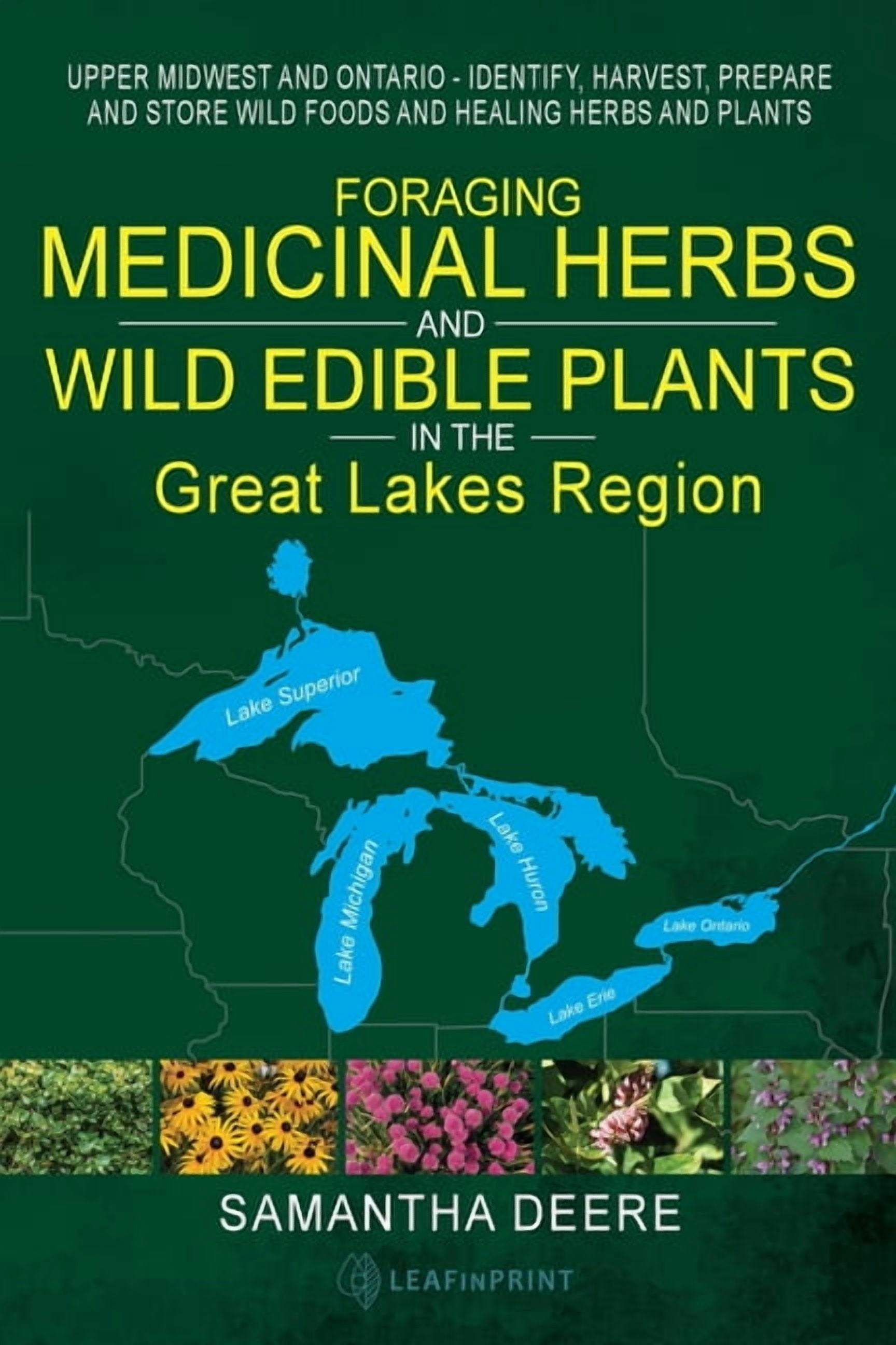 Foraging Medicinal Herbs and Wild Edible Plants in the Great Lakes ...