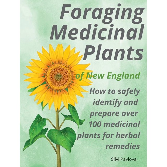 Foraging Medicinal Plants of New England: How to safely identify and ...