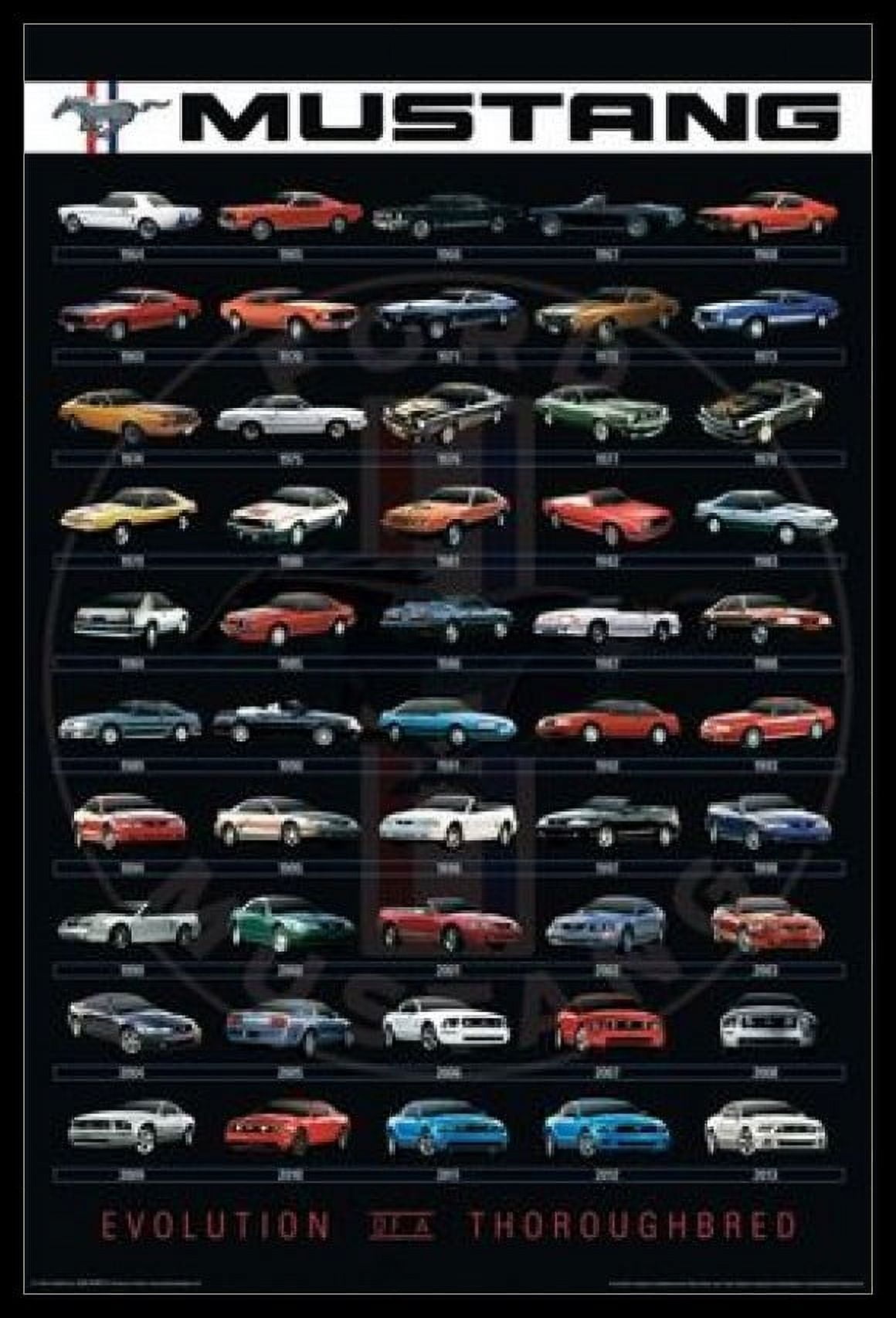 Ford - Mustang Evolution Laminated & Framed Poster (24 x 36) - Walmart.com