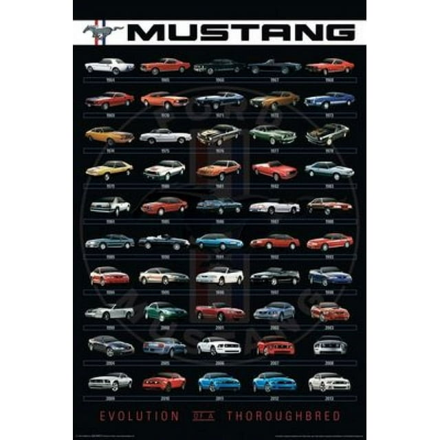 Ford - Mustang Evolution Laminated Poster (24 x 36) - Walmart.com
