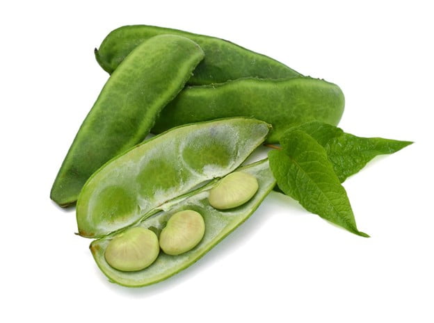 Fordhook 242 Bush Lima Bean Vining Heirloom Seed Packet - Walmart.com