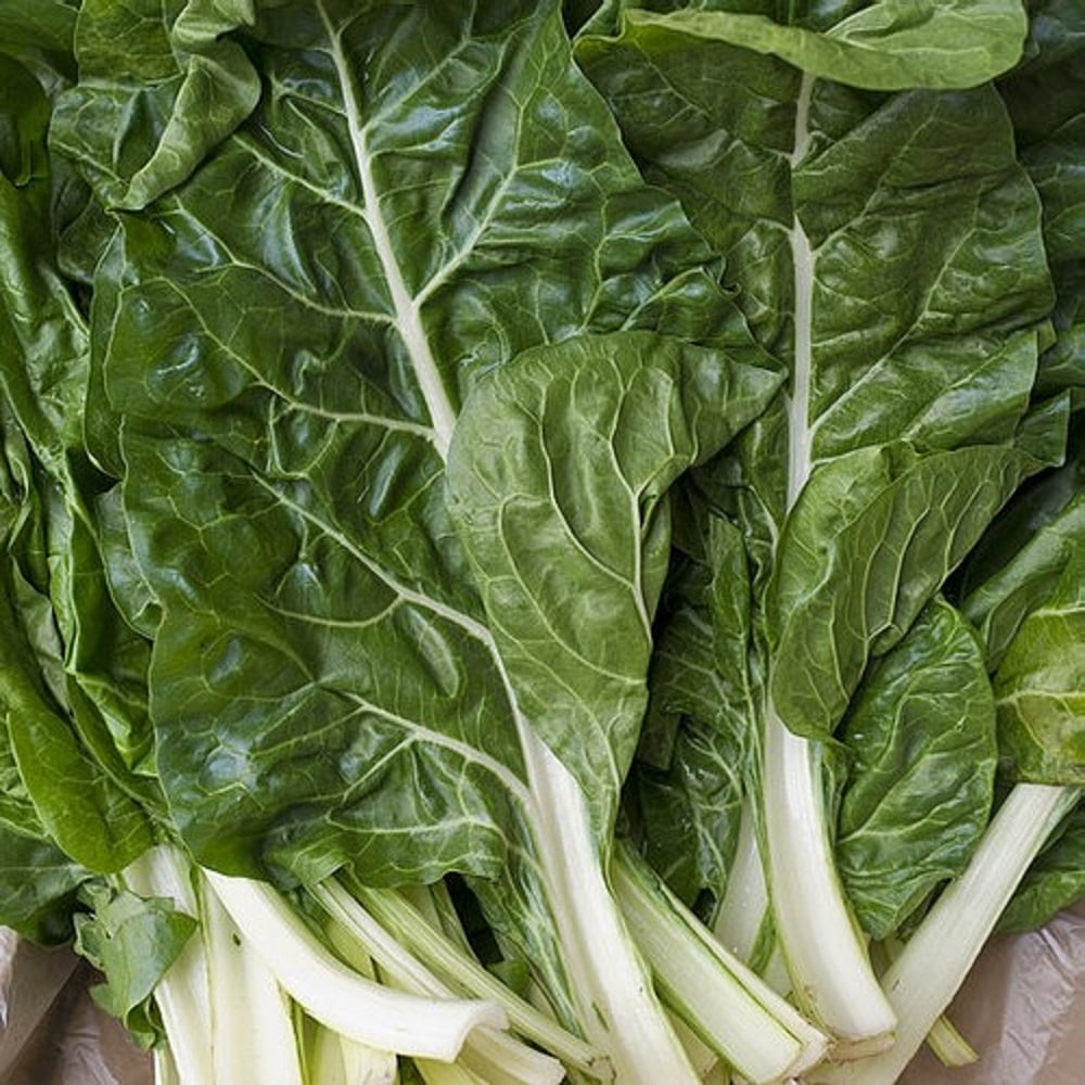 Fordhook Giant Swiss Chard Seeds - 200 Count Seed Pack - Non-GMO - A ...