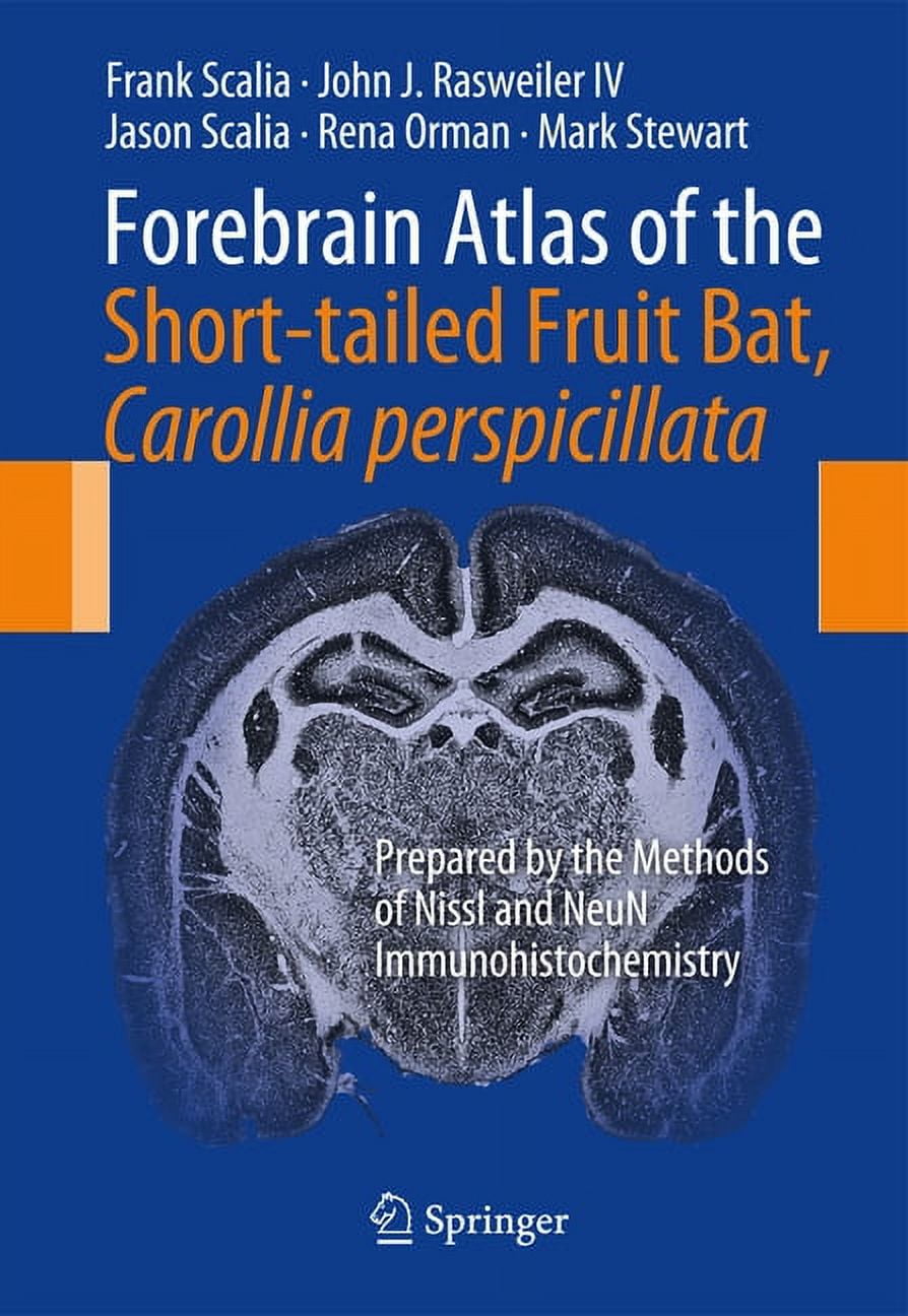 Forebrain Atlas of the Short-Tailed Fruit Bat, Carollia Perspicillata ...