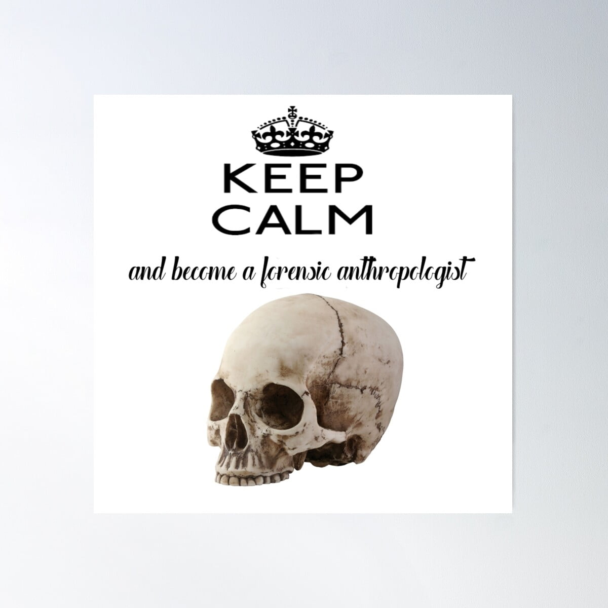 Forensic Anthropology Bones Skeleton Poster Wall Art, Modern Wall Decor ...