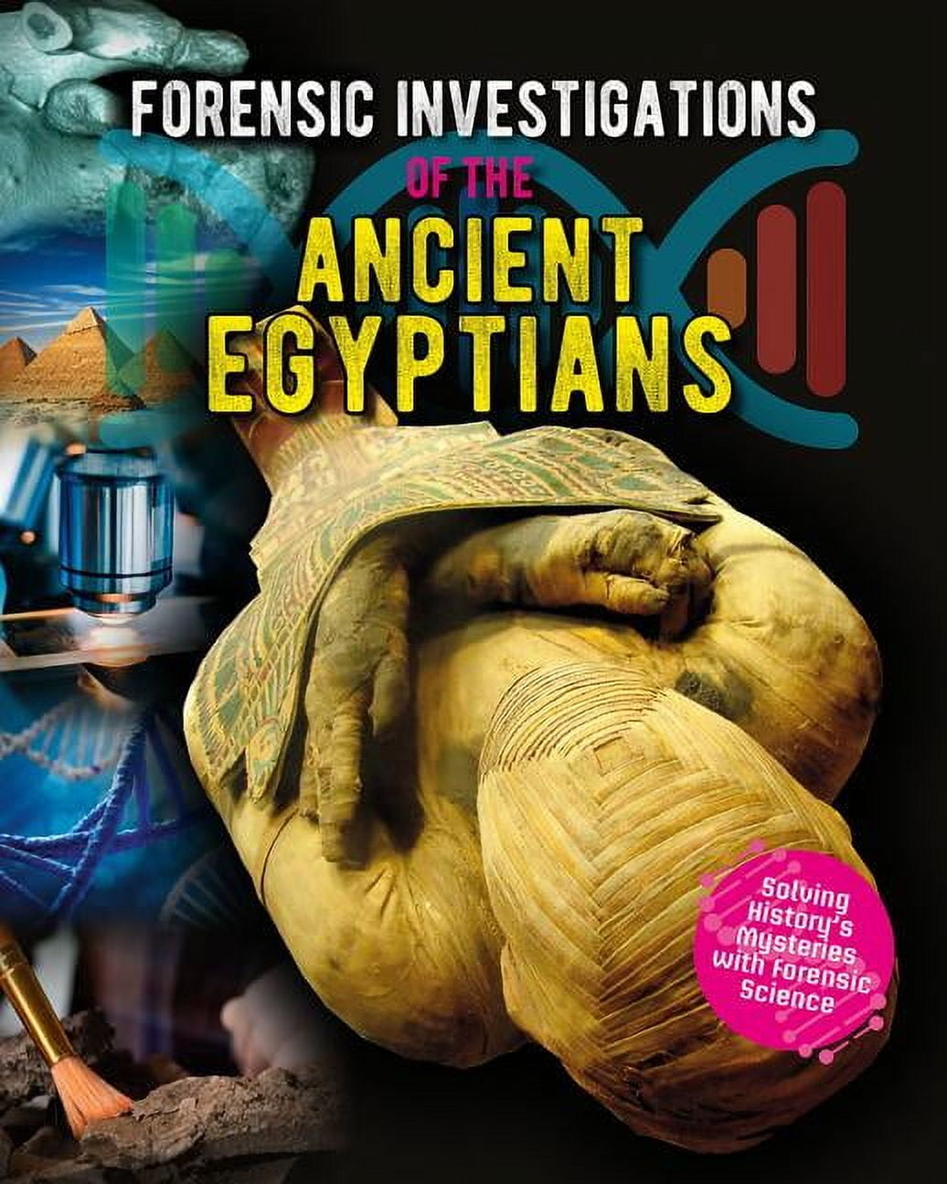 Forensic Investigations of the Ancient Egyptians - Walmart.com