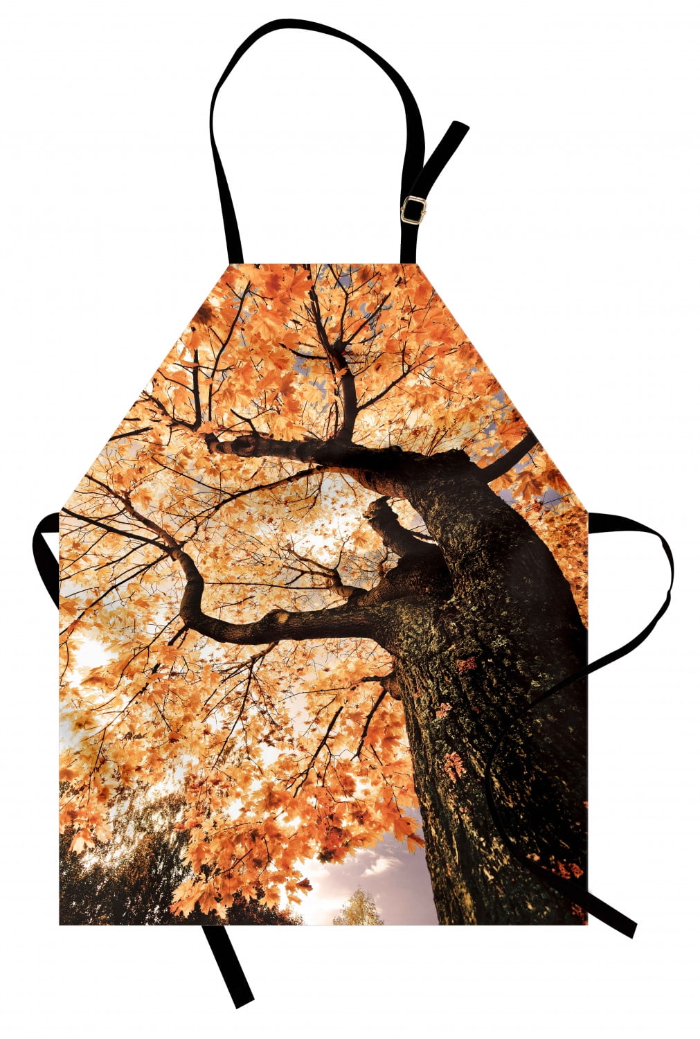 Forest Apron Body of Old Tree Seedling Botany Woodsy Roots Falling ...