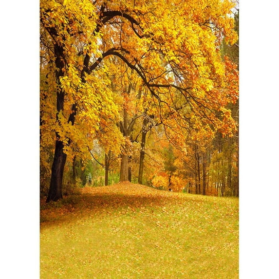 Forest Autumn Photography Backdrop Nature Photo Background Photo Studio ...