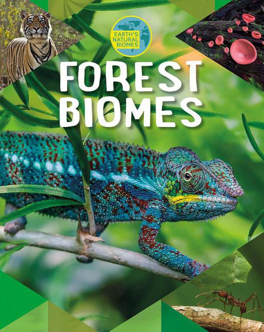 Forest Biomes (Hardcover) - Walmart.com