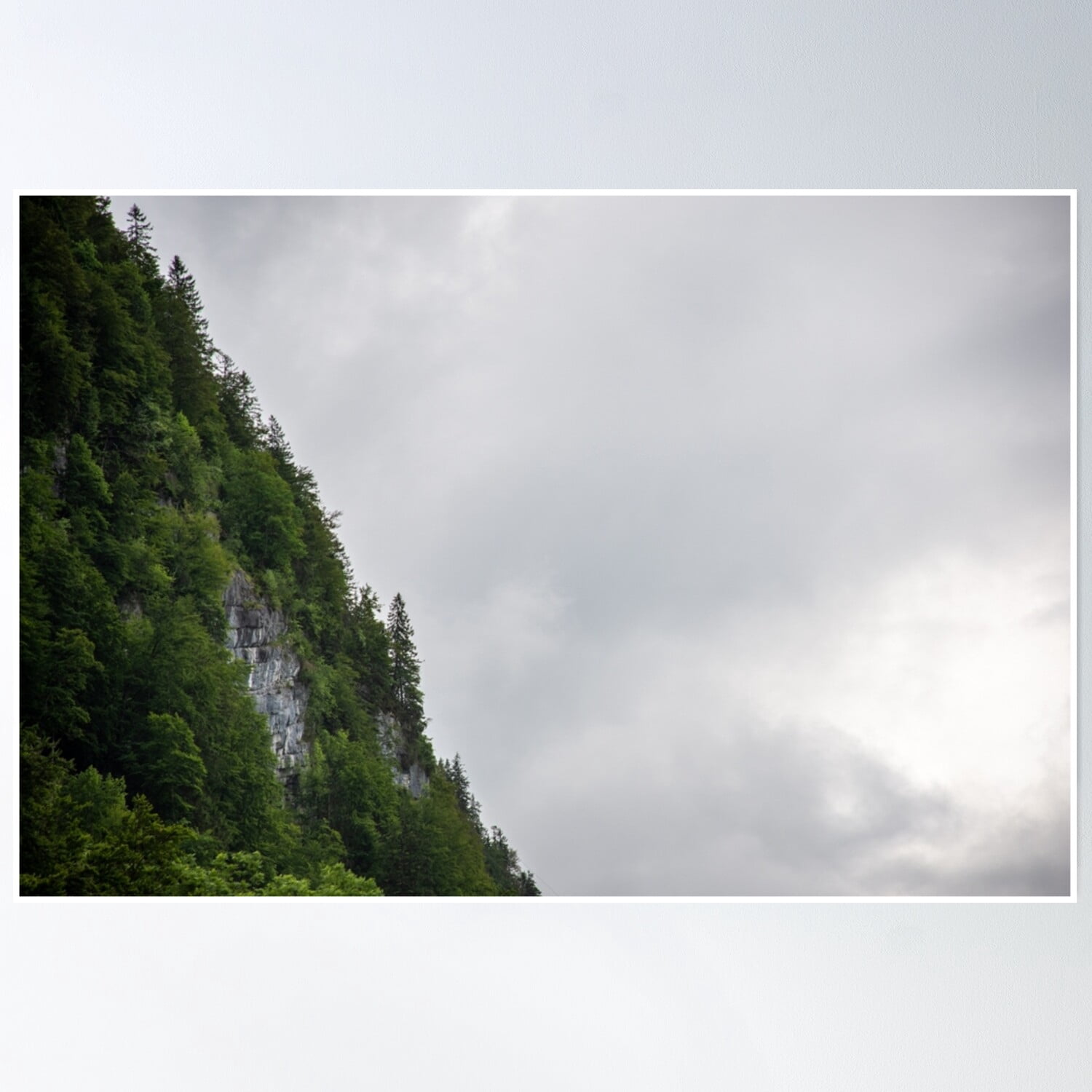 Forest Cliff Poster Wall Art, Modern Wall Decor, 24x36 UNFRAMED ...