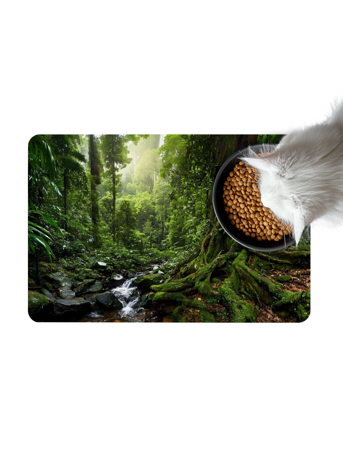 Forest Doormat Non Slip Diatomaceous Earth Door Mat Absorbent Quick Dry ...