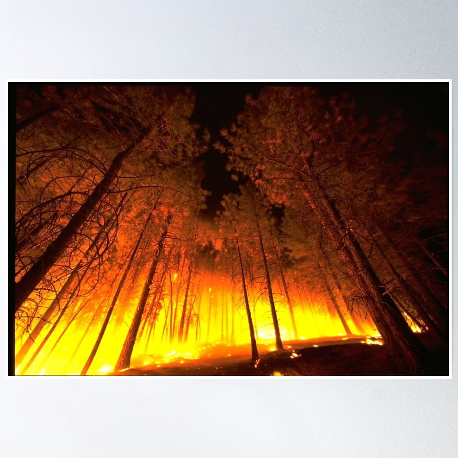 Forest Fire Poster Wall Art, Modern Wall Decor, 12x18 UNFRAMED ...