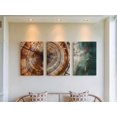 Forest Floor Wood Slice Prints Set Of 3, Nordic Green Nature Wall Art ...