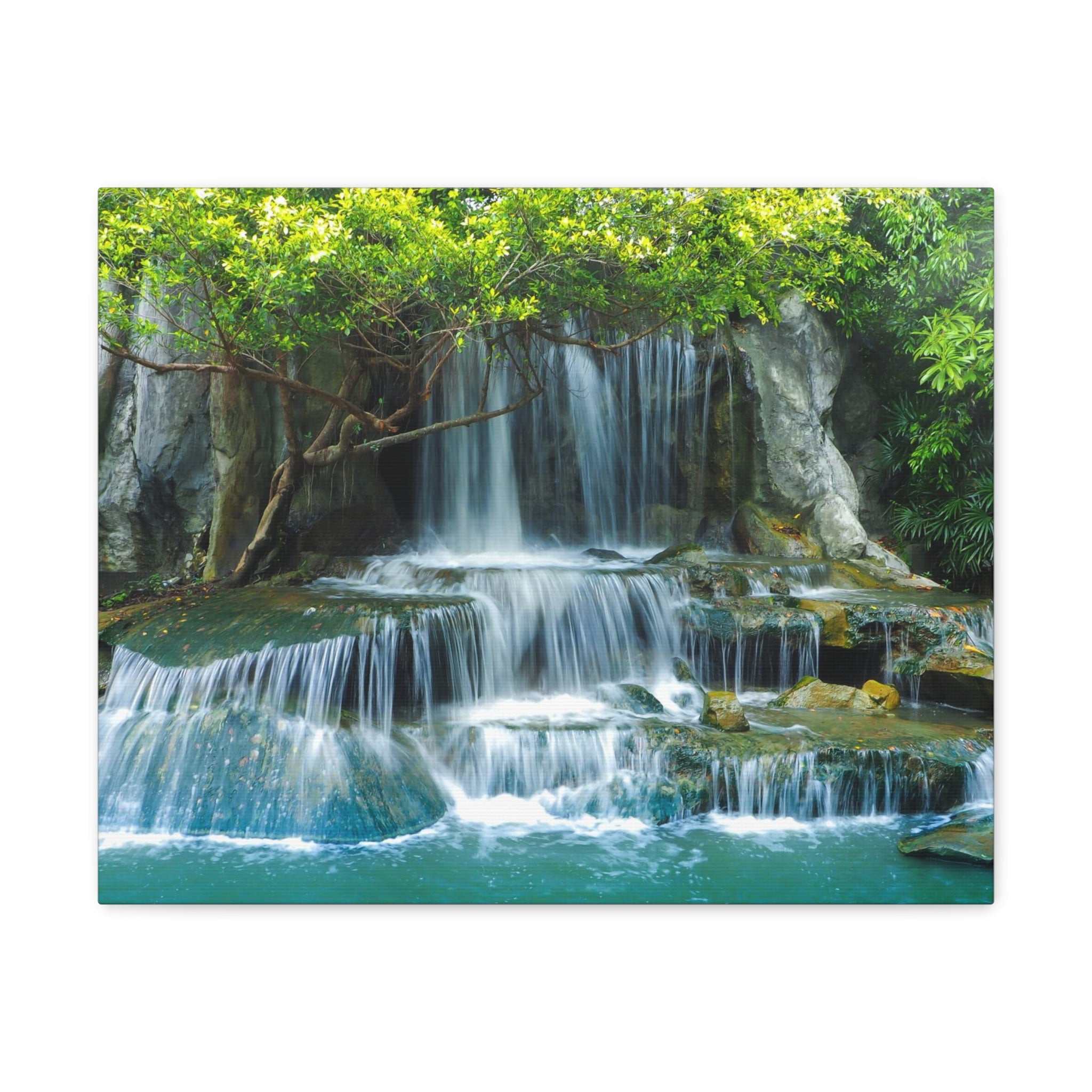 Forest Jungle Cascading Waterfall Nature Wilderness Photography Canvas ...