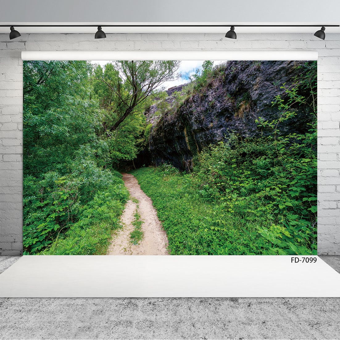 Forest Jungle Trail Photography Backdrops Photobooth Children Baby ...