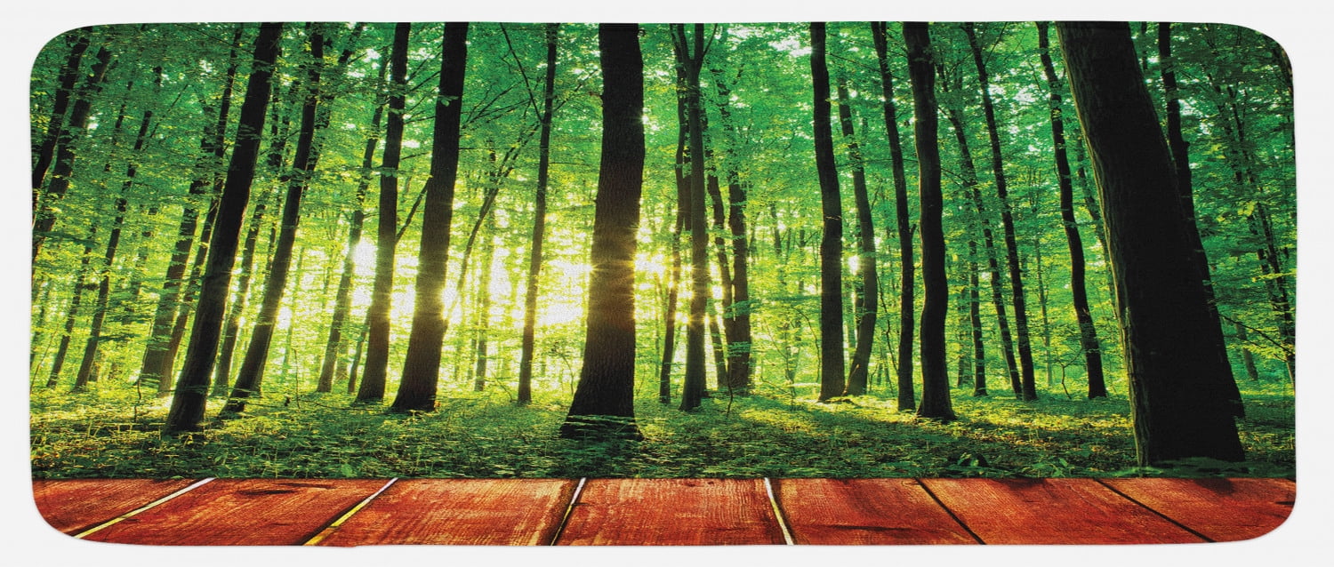 Forest Kitchen Mat, Trees Forest Picture from Indoor Sun Rays as ...