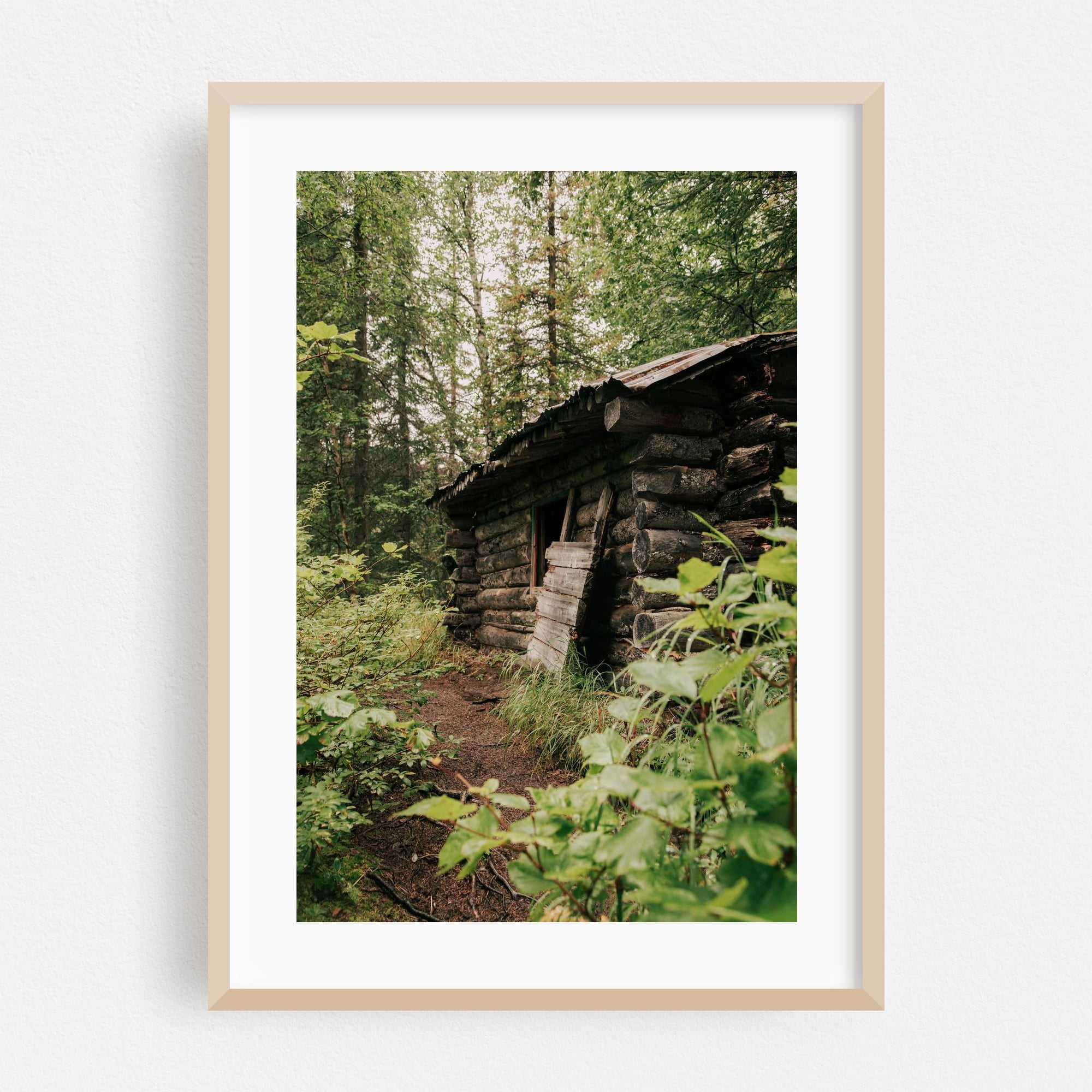 Forest Log Cabin - Alaska Photography Rustic Forest Woodland Nature ...