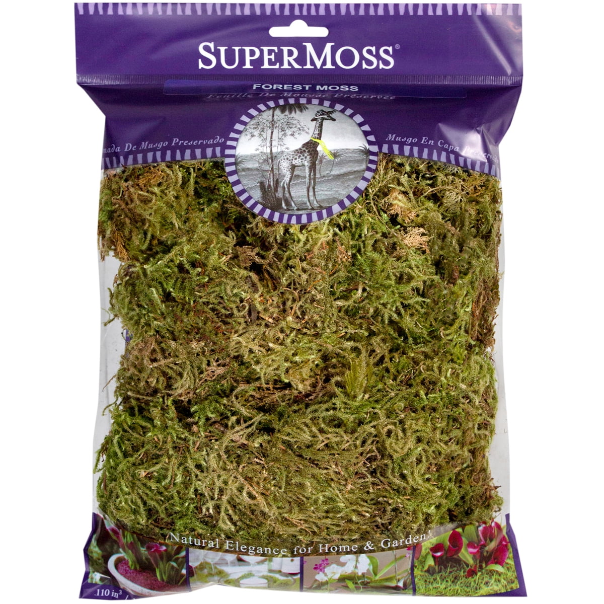 Forest Moss Dried 4oz- - Walmart.com
