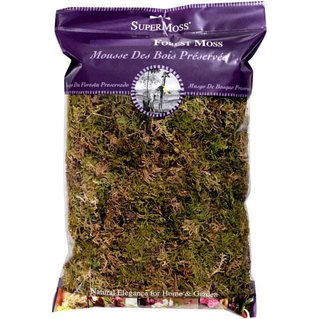 Forest Moss Dried 8oz- - Walmart.com
