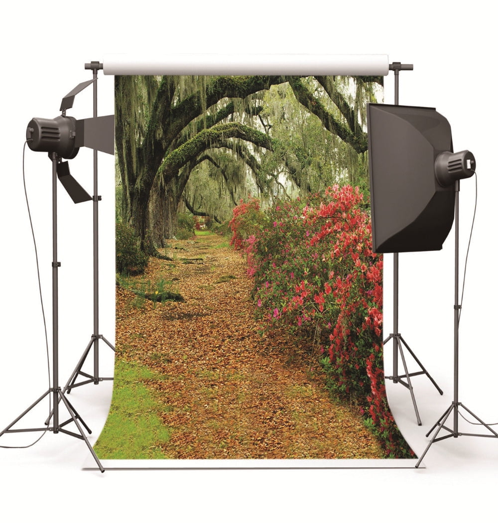 Forest Old Tree Vinyl Photography Background Customize Backdrops ...