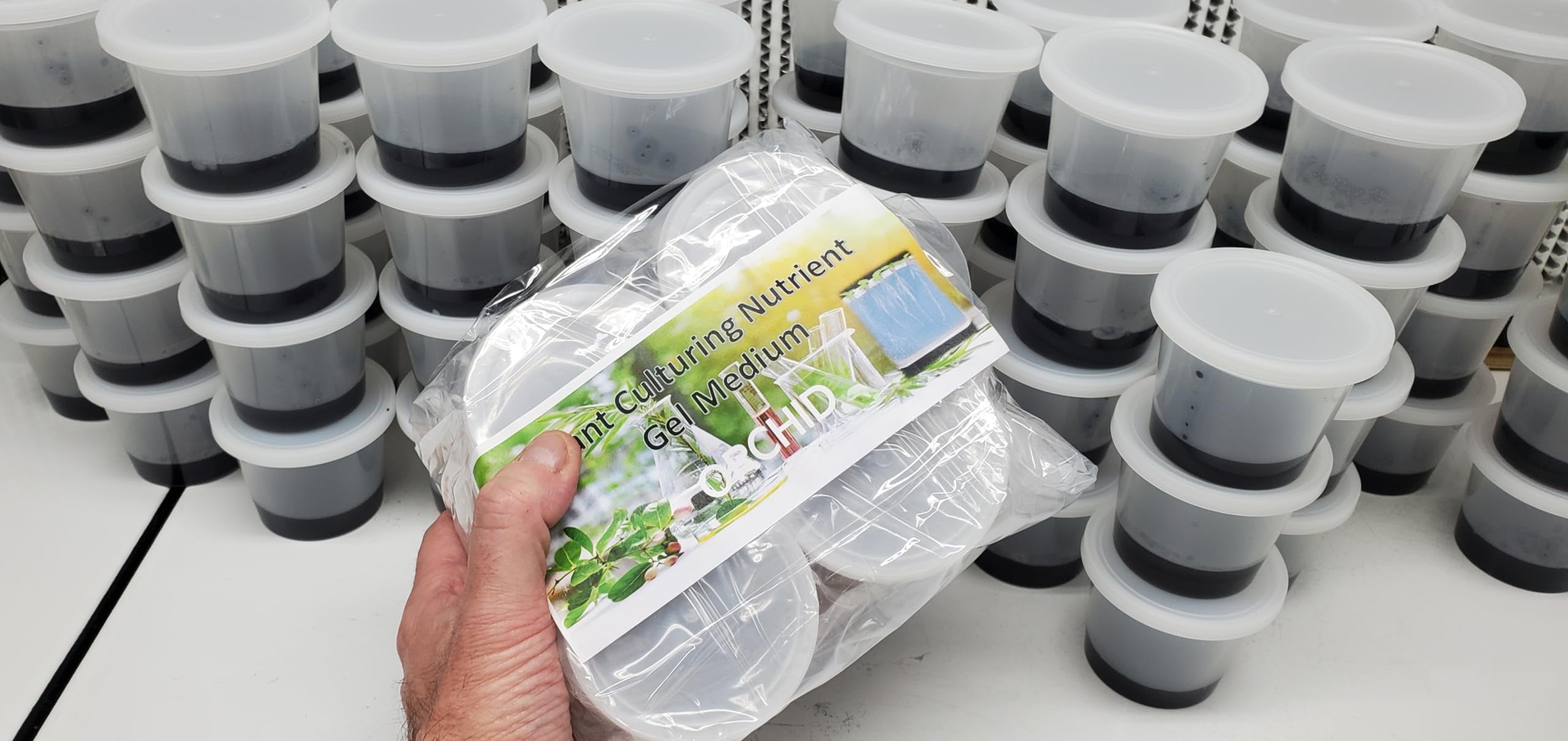 Forest Organics OrchidEGSC Seed Sowing Medium Plant Media Culturing Gel ...