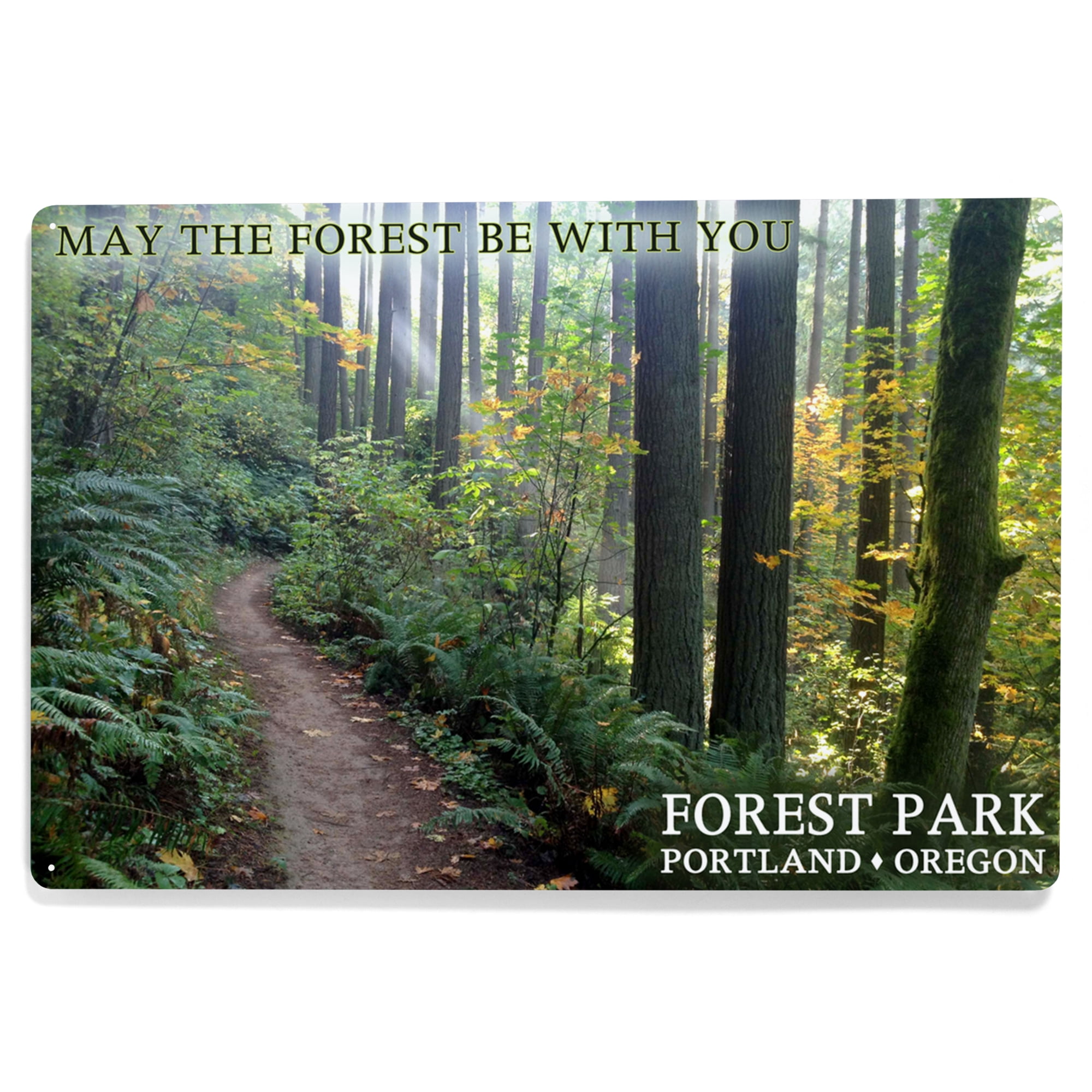 Forest Park, Portland, Oregon, May the Forest be with You (12x18 ...