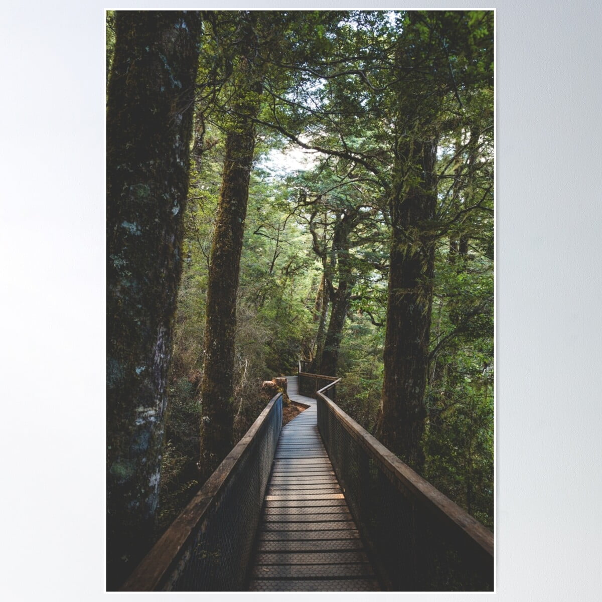 Forest Path Poster Wall Art, Modern Wall Decor For Living Room Bedroom ...