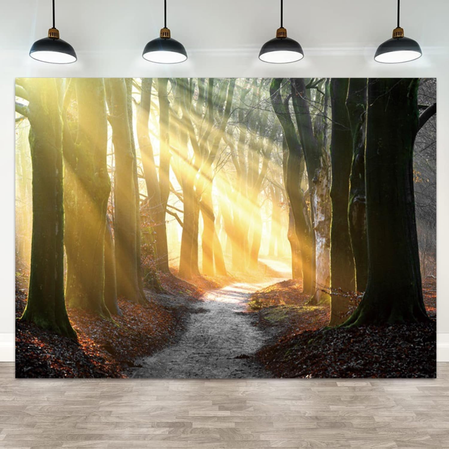 Forest Pathway Backdrop Sunlight Beams Through Trees Rustic Woods ...