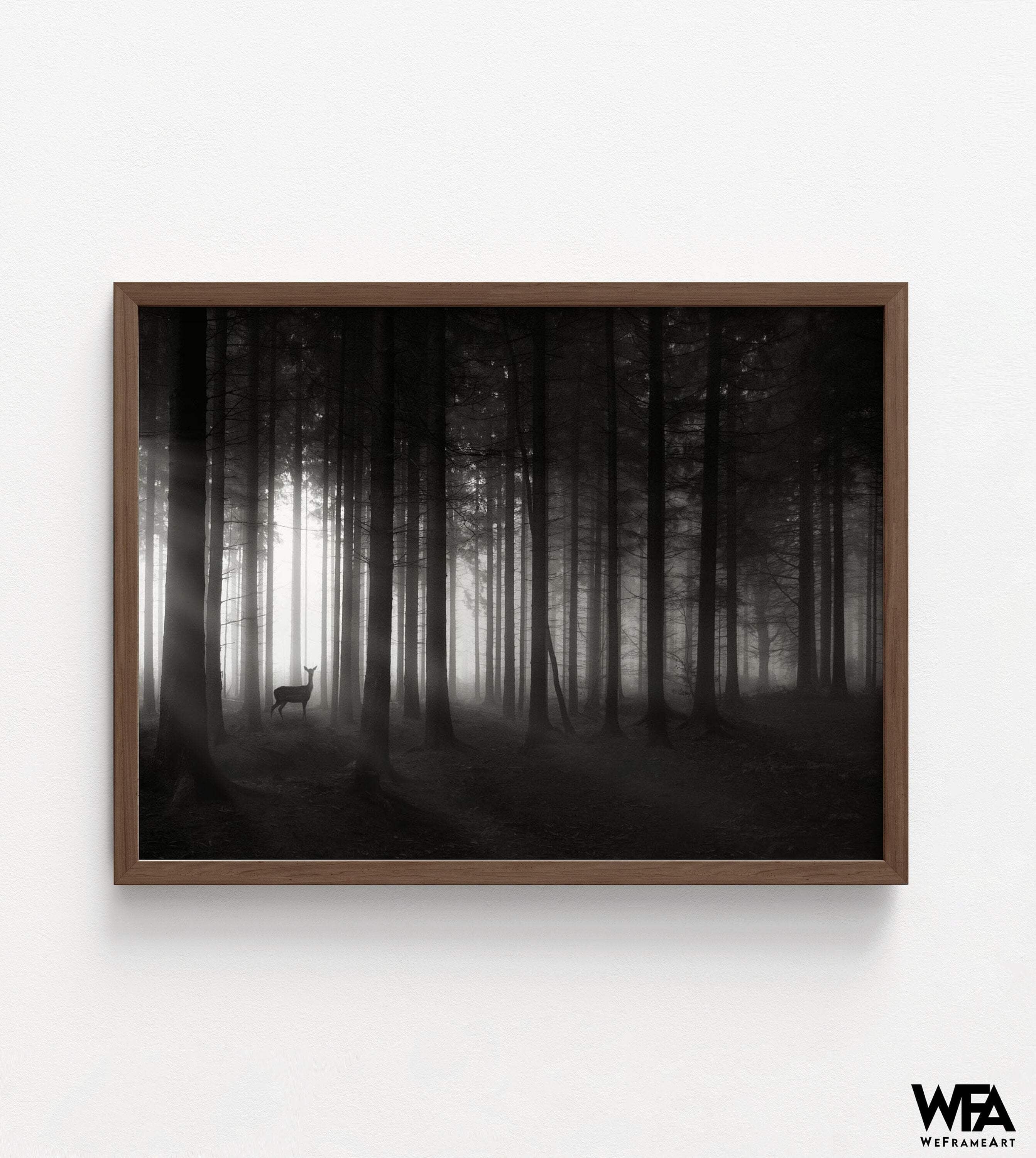 Forest Photography Print, Black and White Landscape Photo, Deer ...