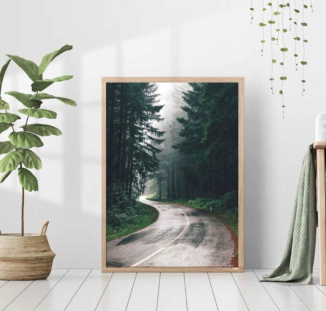 Forest Road Poster Spruce Trees Photography Nature Wall Art Dark ...