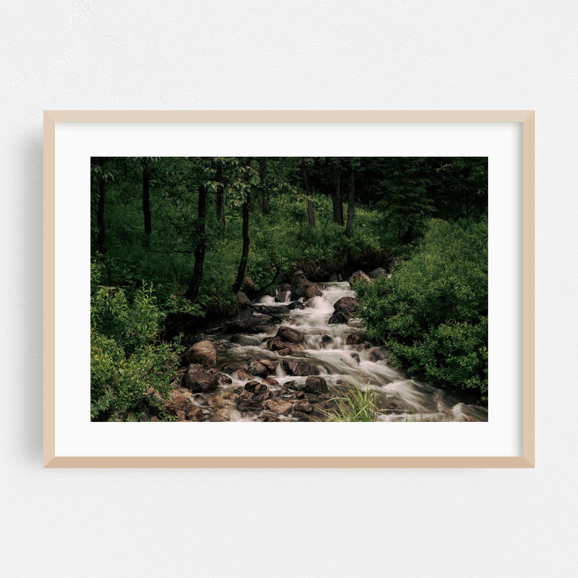 Forest Stream - Alaska Photography Oak Framed Wall Art Print 20 x 30 ...