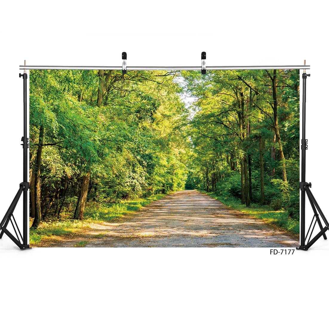 Forest Sunny Road Trail Computer Printed Fond Photoshoot Backgrounds ...