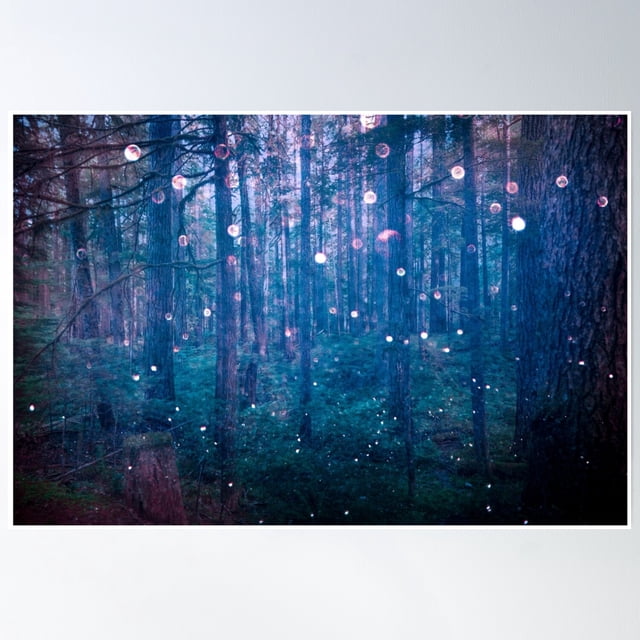Forest Trees Magical Path - Blue Magic In The Woods Poster Wall Art ...