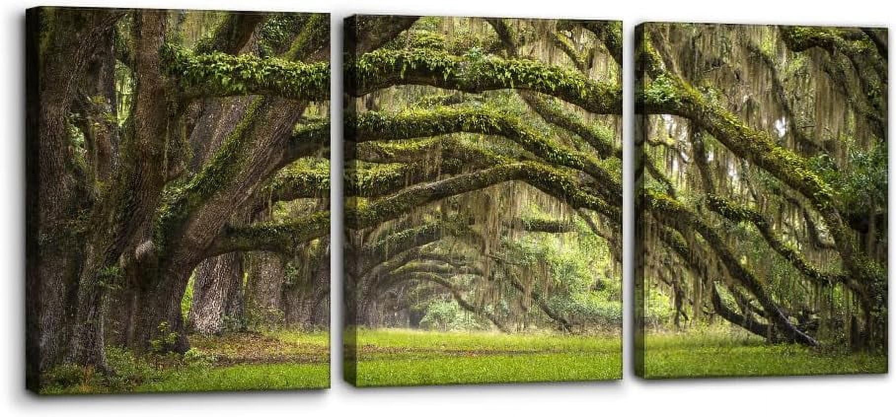 Forest Wall Art Set of 3 - Oaks Avenue Charleston SC Plantation Live ...
