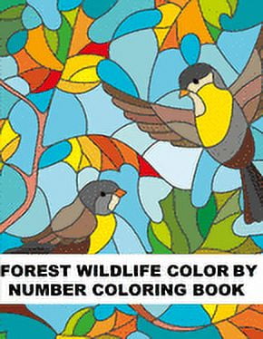 Forest Wildlife Color By Number Coloring Book: Large Print Coloring ...