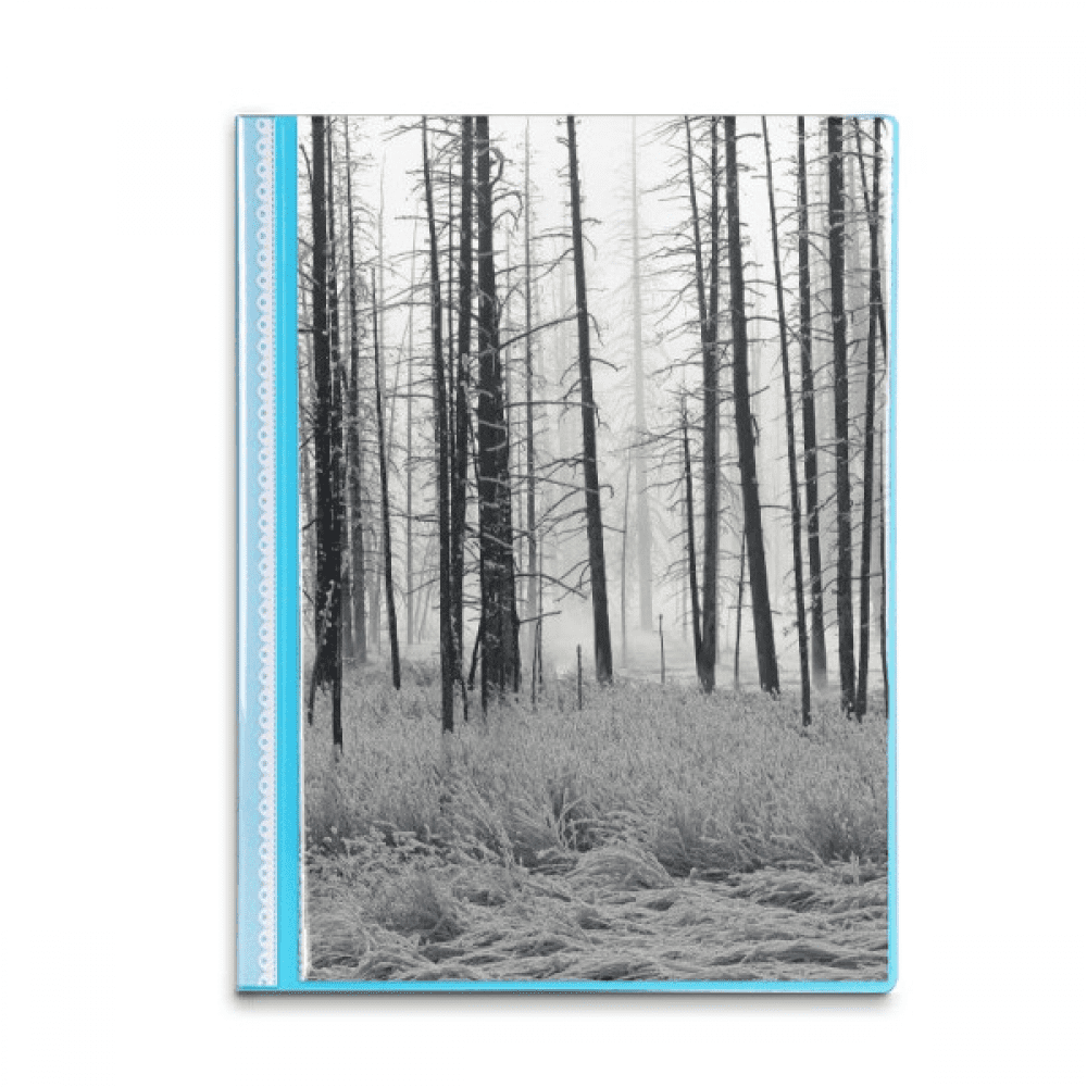 Forest Winter Snow Trees Frost Book Sheet Protectors Portfolio Binder ...
