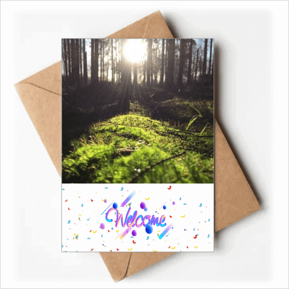 Forestry Science Nature Scenery Welcome Back Greeting Cards Envelopes ...