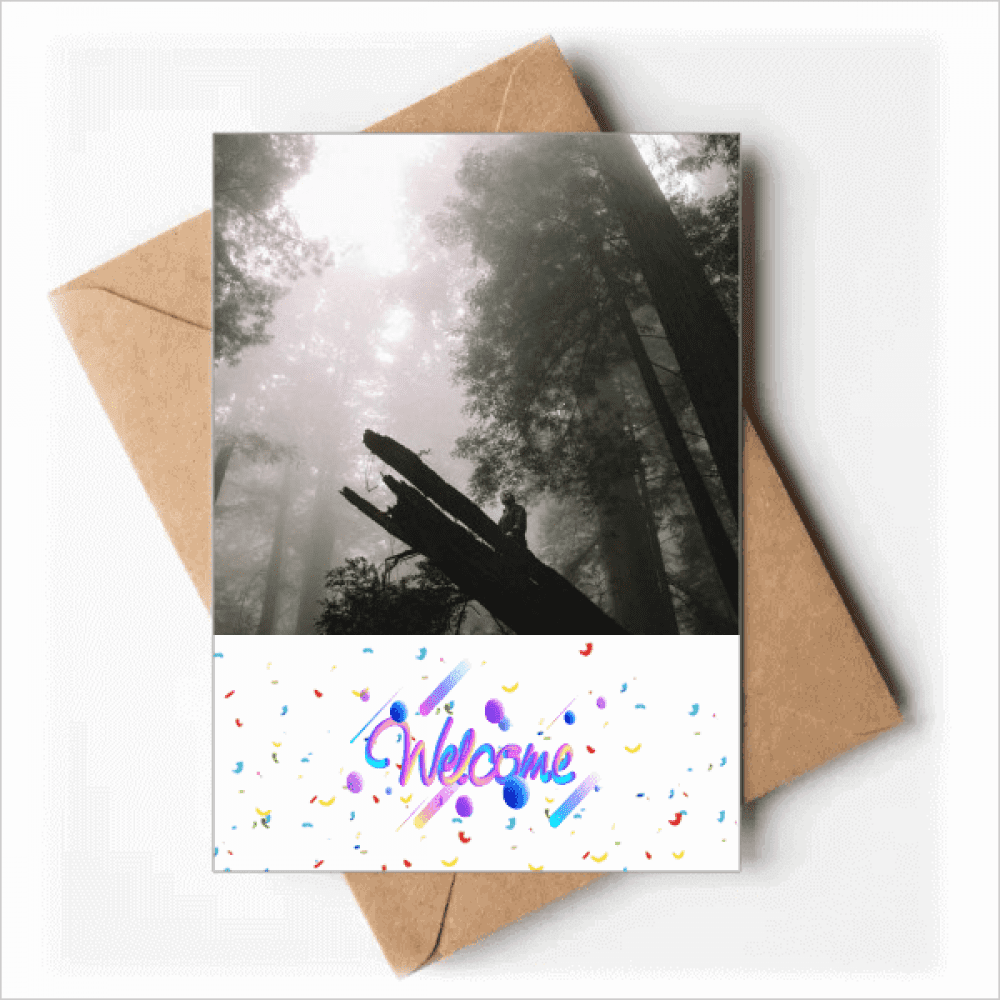 Forestry Science Nature Scenery Welcome Back Greeting Cards Envelopes ...