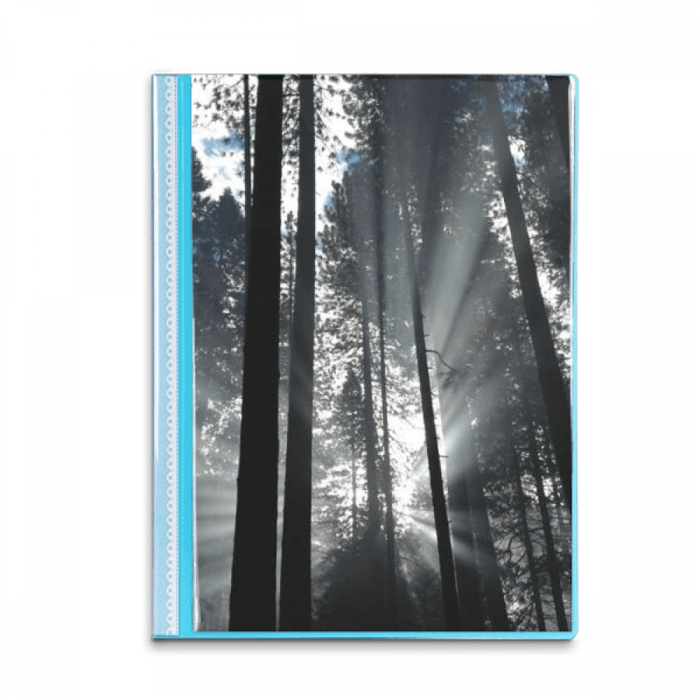 Forestry Sunshine Science Nature View Book Sheet Protectors Portfolio ...
