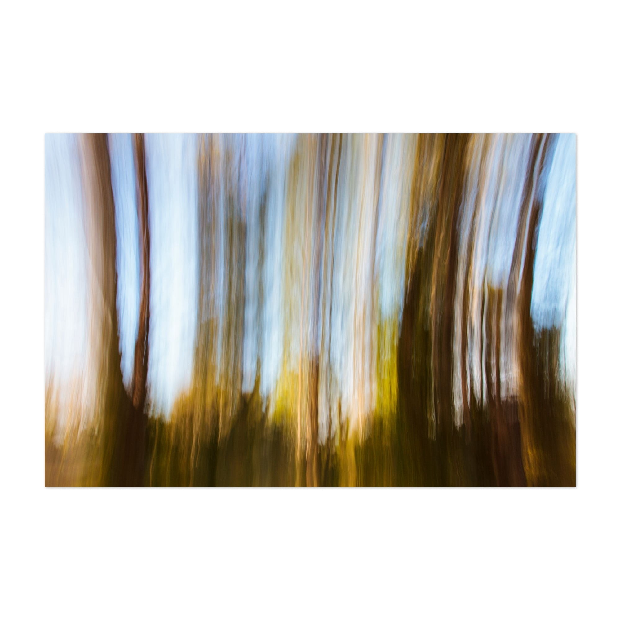 The Forests In My Mind - Redondo Beach California Photography Abstract ...