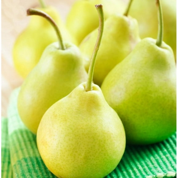 Forever Wick Candles Diamond