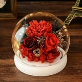 Preserved Roses Gift - Eternal Flowers for Women, Girlfriend, Wife, Mom ...