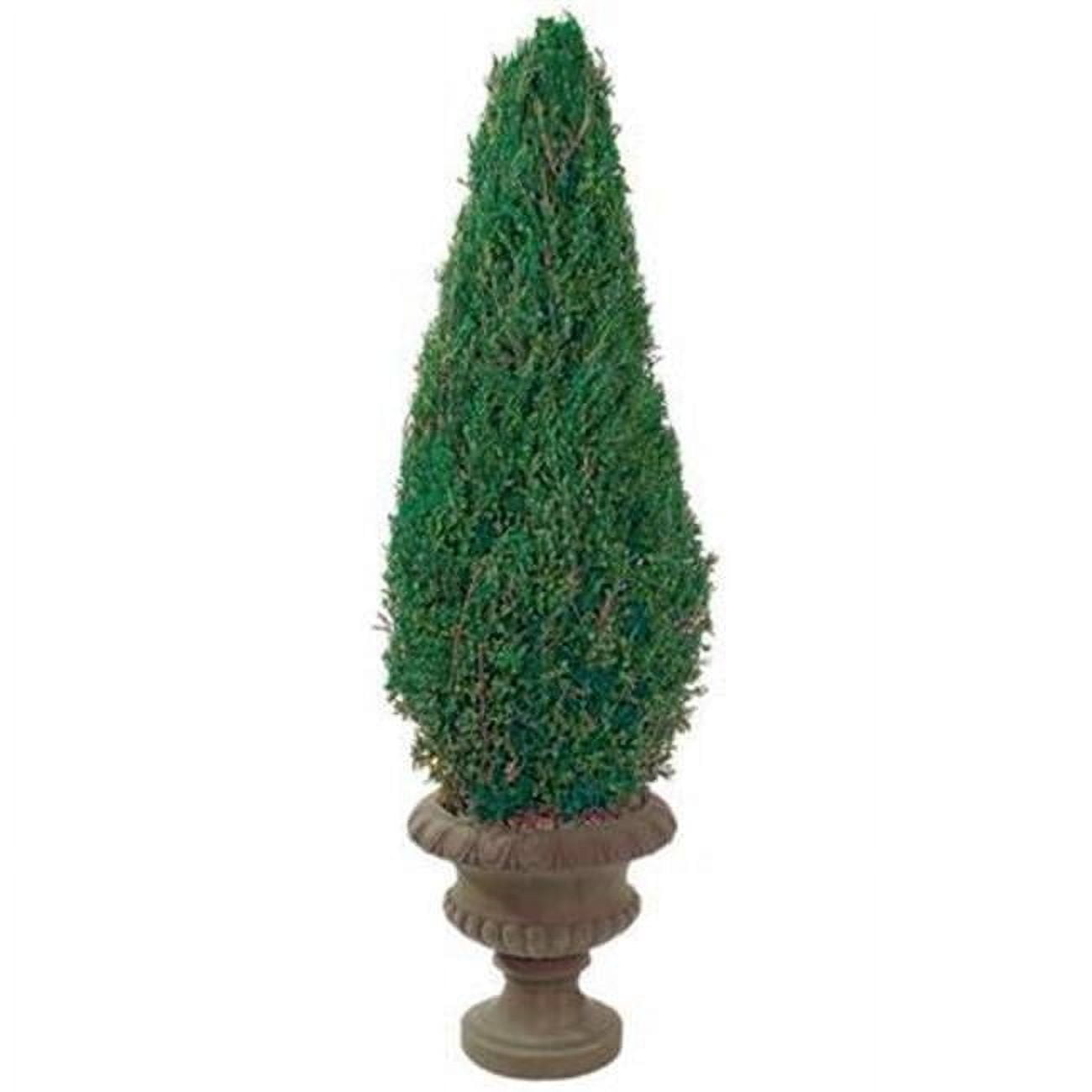 Forever Green Art 60 in. Preserved Cone Juniper Tree, Maintenance-Free ...