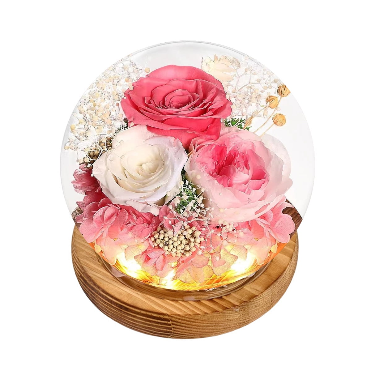 Forever Preserved Flowers in Glass Dome with LED Light, Everlasting ...