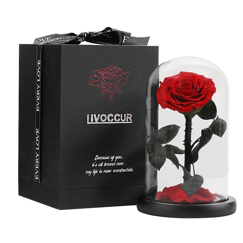 Forever Red Rose and Handmade Preserved Rose in Glass Dome, Made from ...