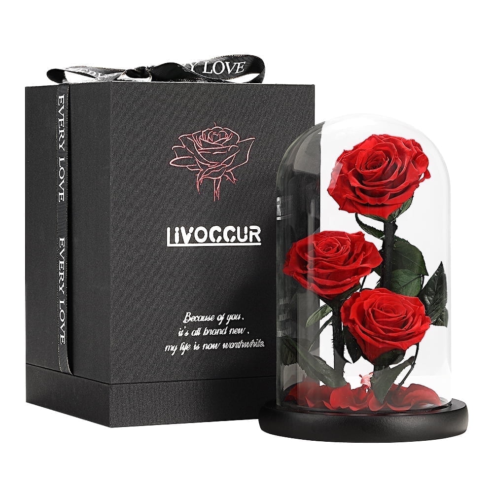 Forever Red Rose and Handmade Preserved Rose in Glass Dome, Made from ...