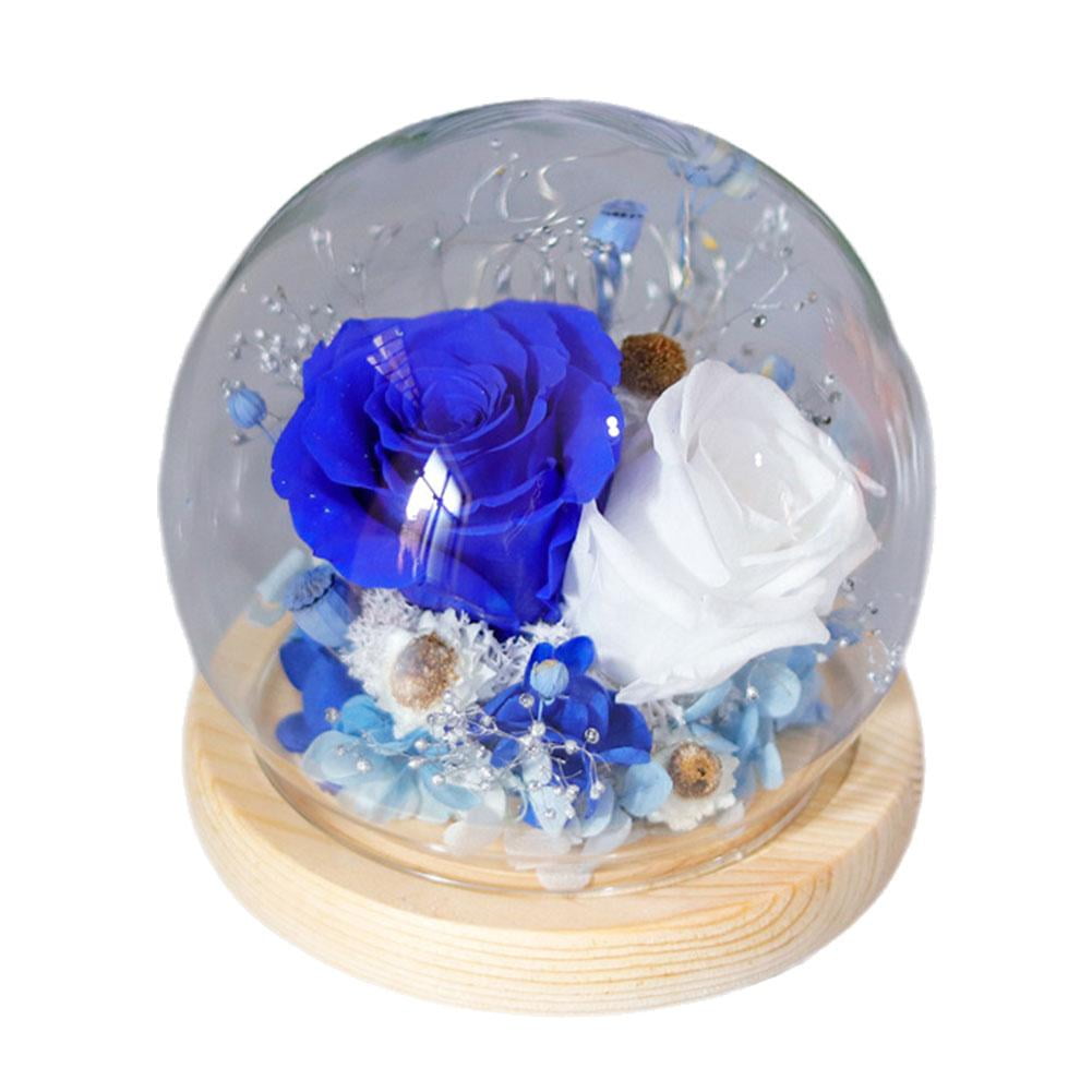 Forever Roses with LED Lights in Glass Dome, Serical Glass Everlasting ...