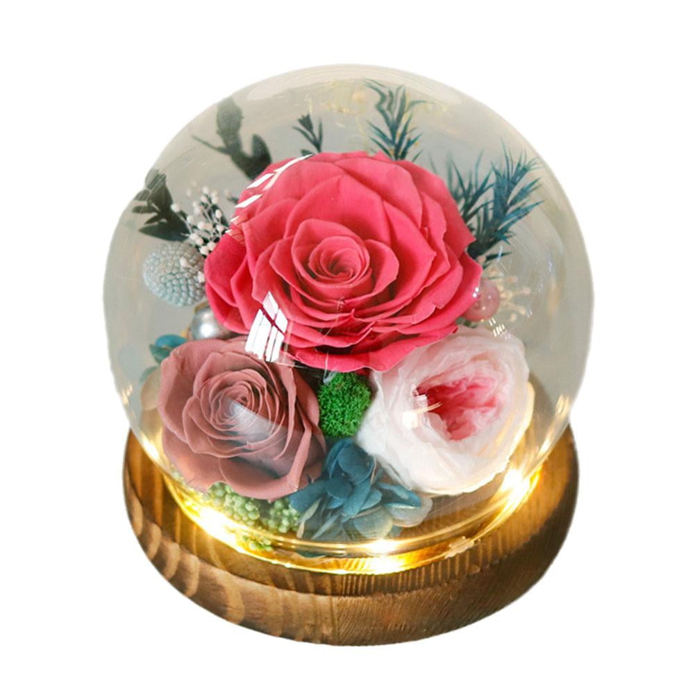 Forever Roses with LED Lights in Glass Dome, Spherical Glass ...