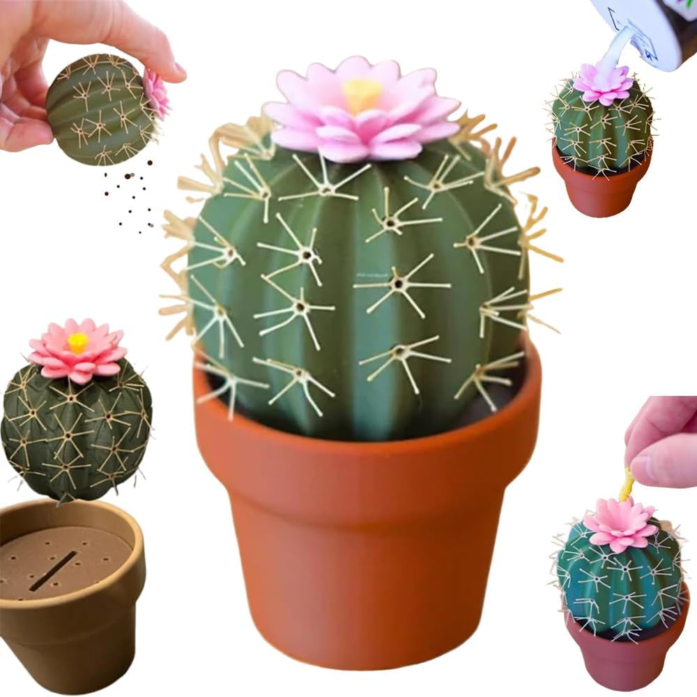 Forgecore Spikey Spices - Cactus Salt and Pepper Shaker, Mini Cute 3D ...