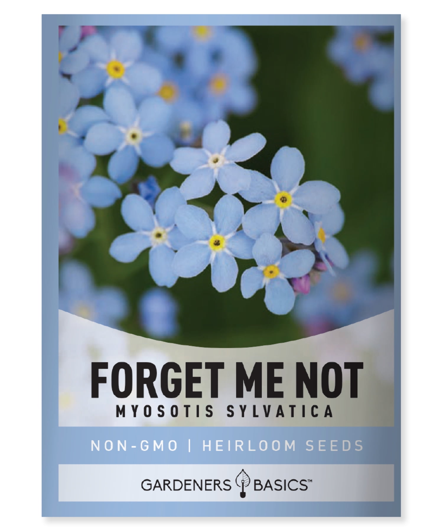 Forget Me Not Seeds - Walmart.com