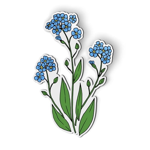 Forget Me Not Wildflowers - 5" Magnet for Car Locker Refrigerator ...